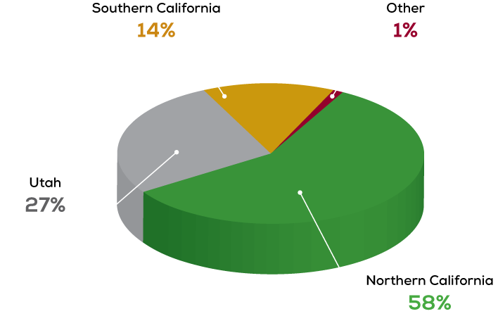 Nearon Portfolio Overview